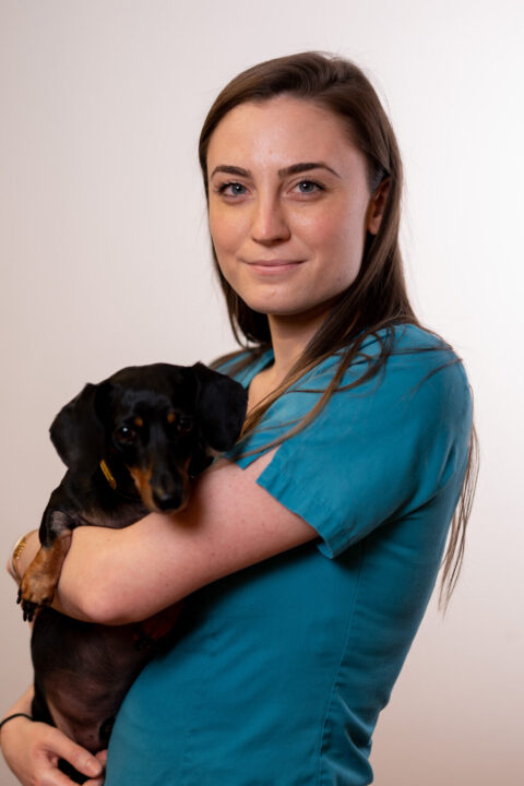 Our veterinary team in Brussels, Etterbeek