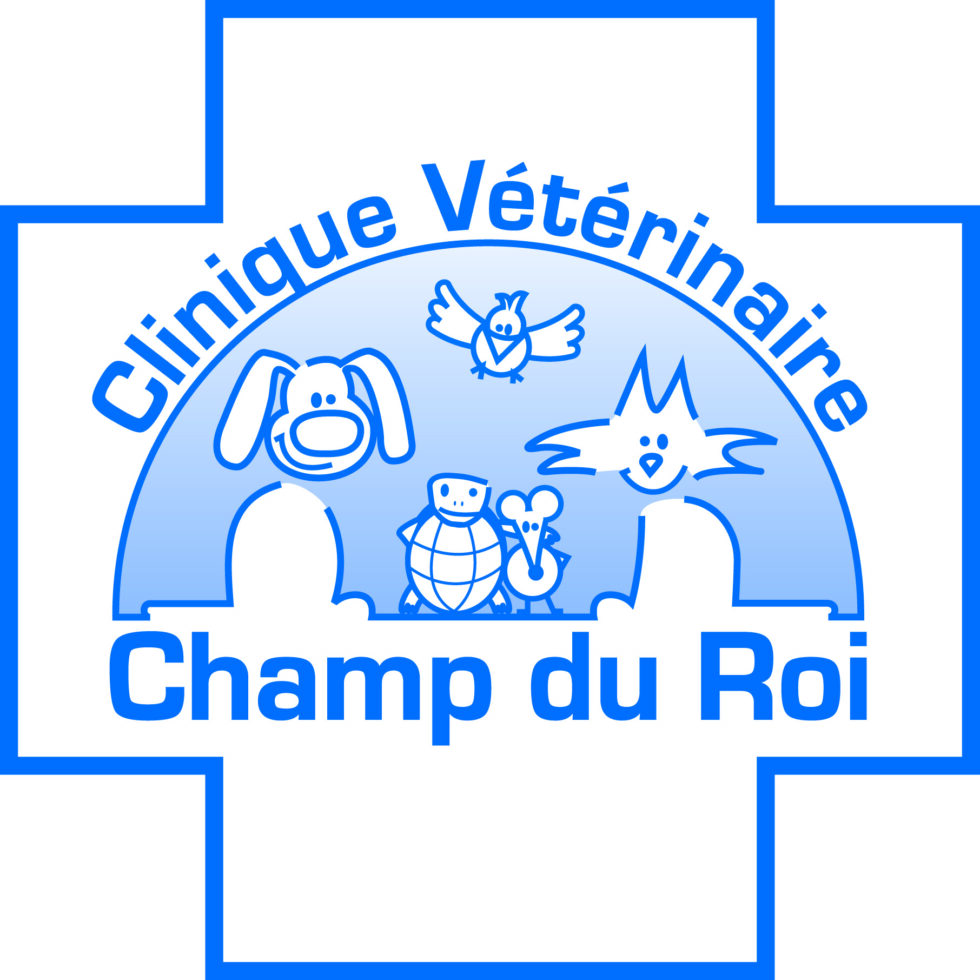 Clinique Champ du Roi : for emergencies and appointments call 02 640 21 23