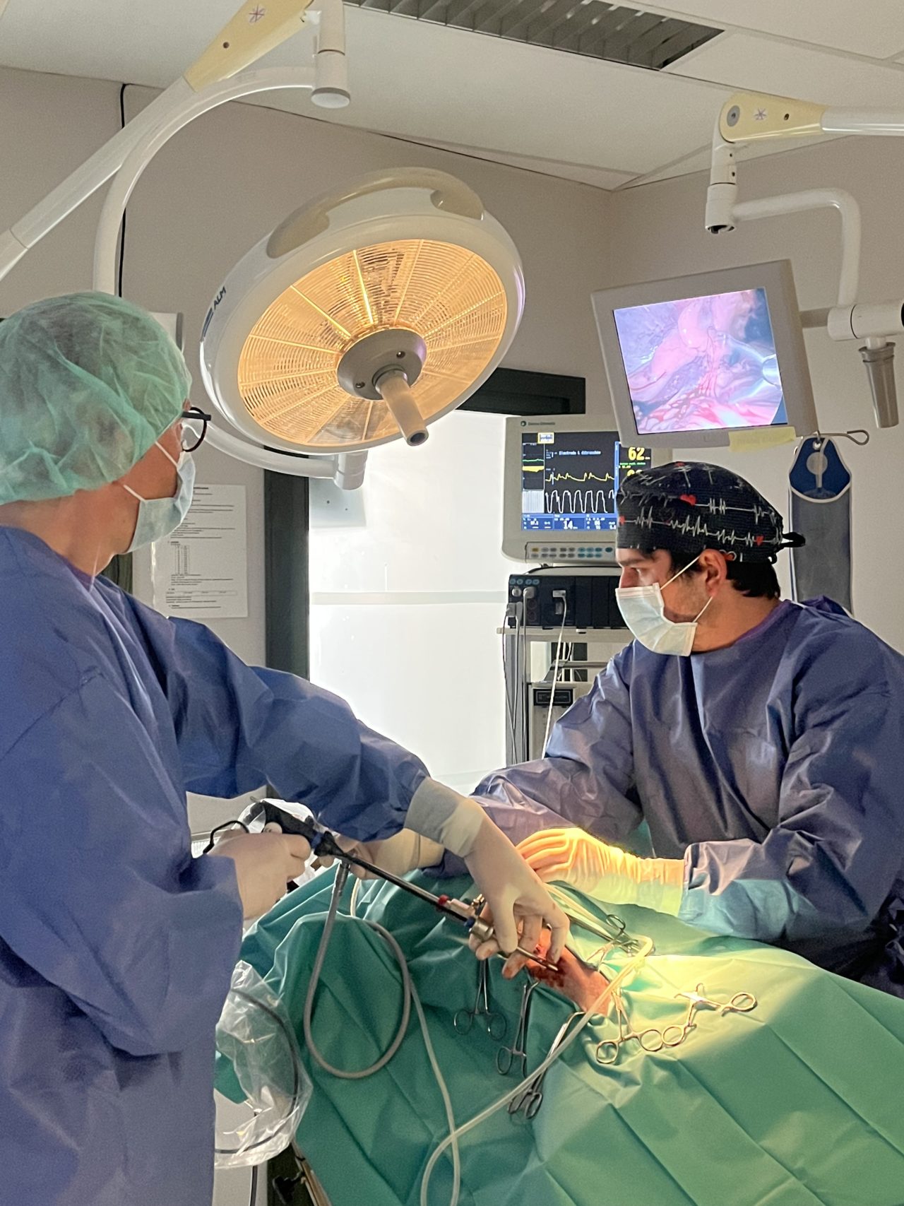 Laparoscopy - Champ du Roi Veterinary Clinic Brussels Etterbeek 24/7